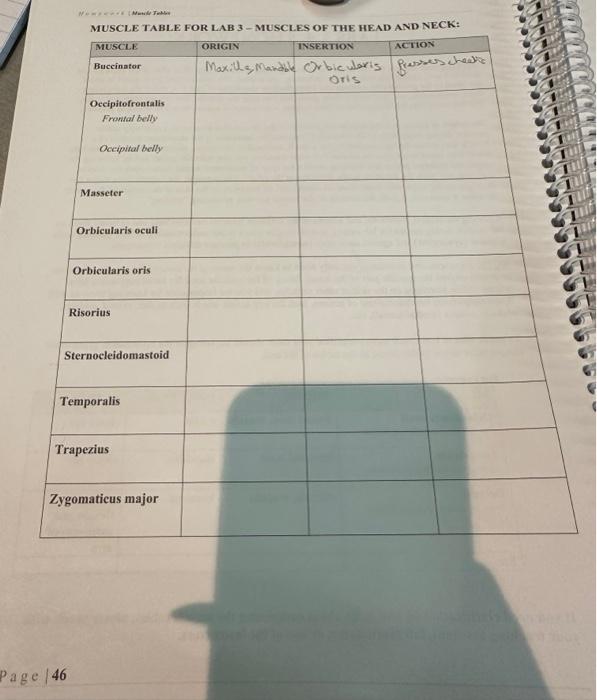 Solved MUSCLE TABLE FOR LAB 3 - MUSCLES OF THE HEAD AND | Chegg.com