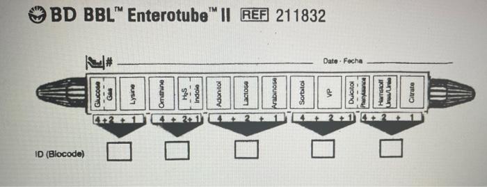 EnteroPluri-Test Lab - Bacteria Identification Team | Chegg.com