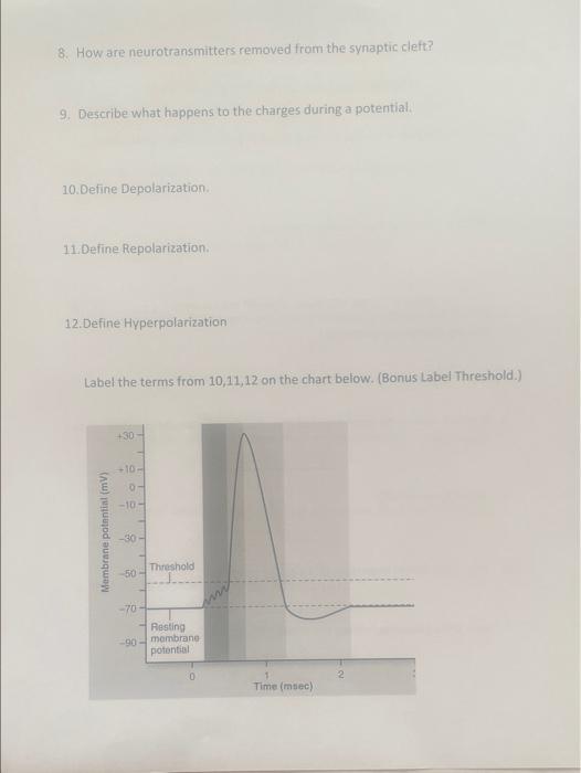 Solved Neuromuscular Junction Worksheet 1. Draw a neuron and | Chegg.com