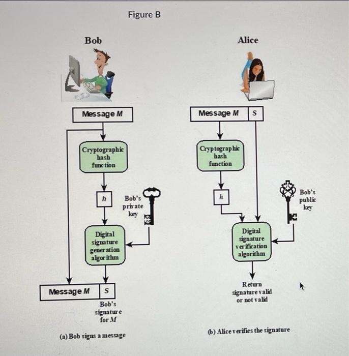 Solved (i) What are the two processes depicted in the | Chegg.com