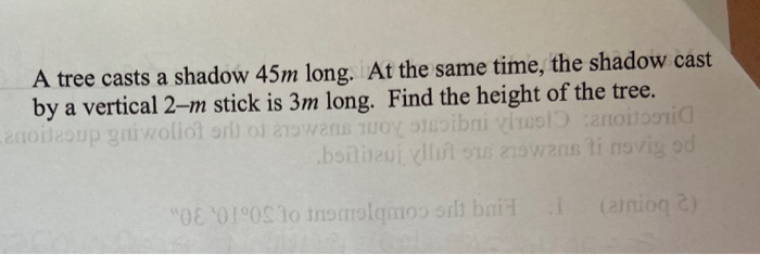 Solved A tree casts a shadow 45m long. At the same time, the | Chegg.com