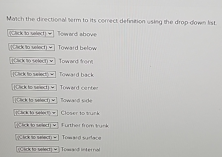 Solved Match the directional term to its correct definition | Chegg.com