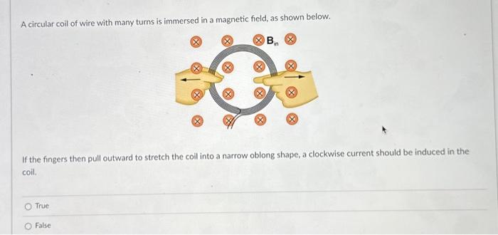 Solved A circular coil of wire with many turns is immersed | Chegg.com