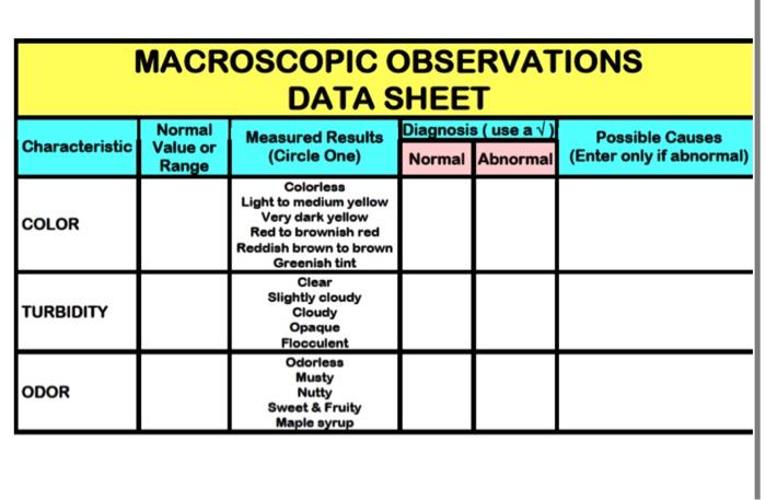 Solved For this portion assignment, you will need to answer | Chegg.com