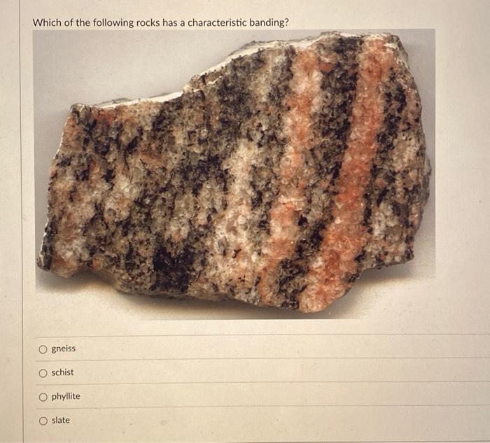 Solved Which of the following rocks has a characteristic | Chegg.com