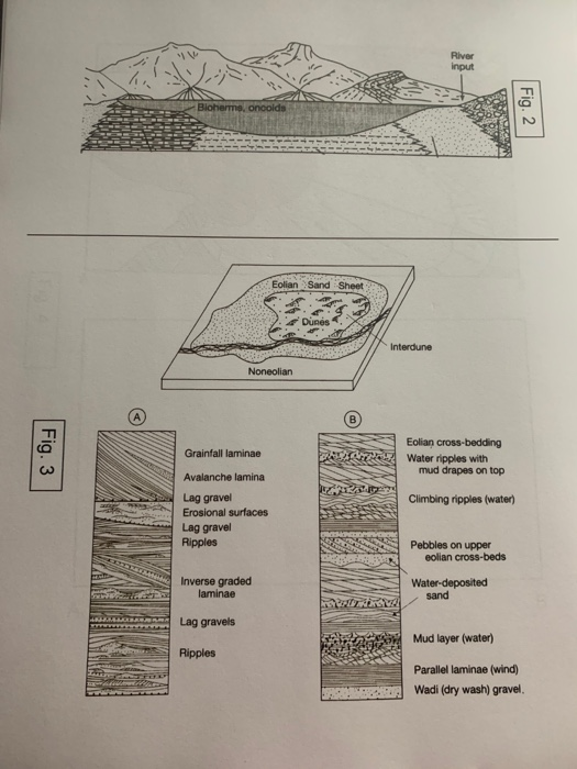 Solved B. LACUSTRINE (Figure 2) What 4 environments could | Chegg.com