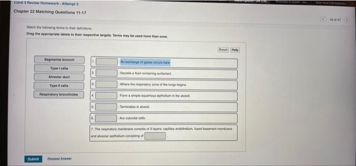 Solved Un Review Homework Attempt Chapter 22 Matching | Chegg.com Solved Un Review Homework Attempt Chapter 22 Matching | Chegg.com
