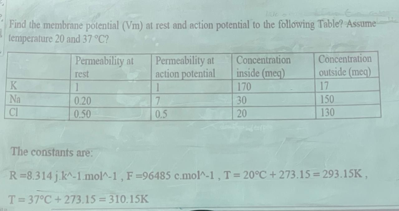 Solved Find the membrane potential (Vm) ﻿at rest and action | Chegg.com