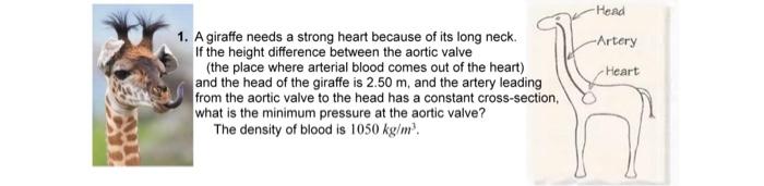 Solved A giraffe needs a strong heart because of its long | Chegg.com