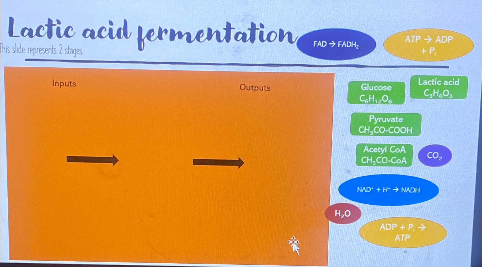 Solved Lactic acid fermentationFAD→FADH2 ﻿ATP → ﻿ADP | Chegg.com