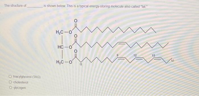 The structure of is shown below. This is a typical | Chegg.com