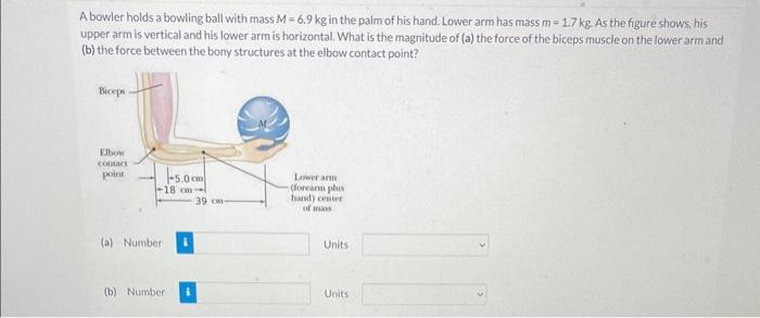 Solved A bowler holds a bowling ball with mass M=6.9 kg in | Chegg.com