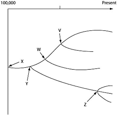 Solved In this diagram, each fork represents which of the | Chegg.com