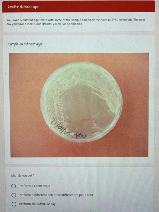 Solved Results: Nutrient agar You swab a nutrient agar plate | Chegg.com