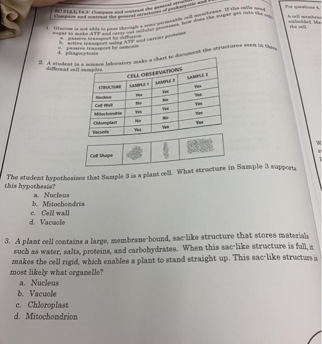 Solved SC.912.L.14.1: Describe the scientific theory of | Chegg.com