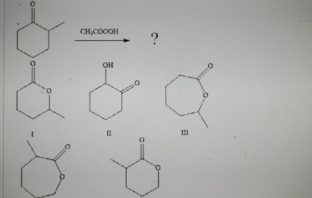 Solved Select the structure of the major product in the | Chegg.com