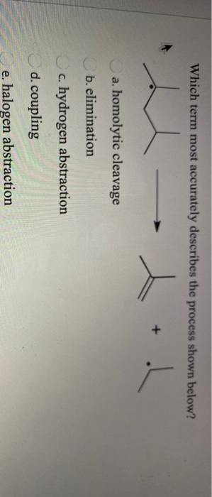 Solved Which term most accurately describes the process | Chegg.com