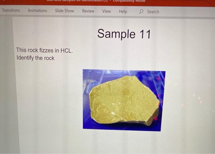 Solved ansitions Animations Slide Show Review View Help | Chegg.com