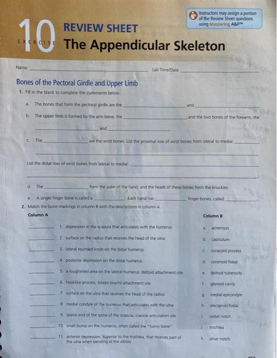 Solved Instructors may assign a portion of the Review Sheet | Chegg.com