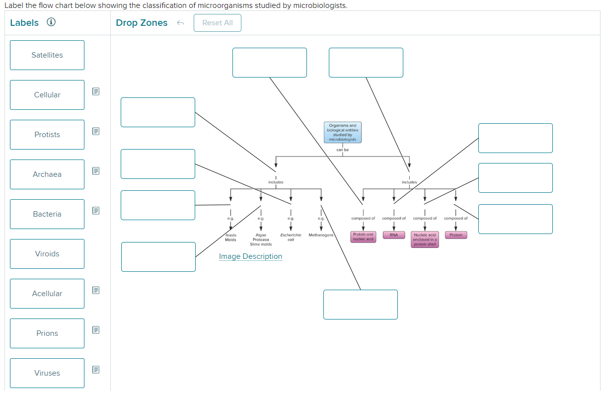 Solved the flowchart begins with organisms sand biological | Chegg.com