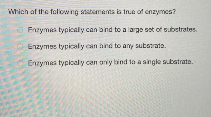 Solved Which of the following statements is true of enzymes? | Chegg.com