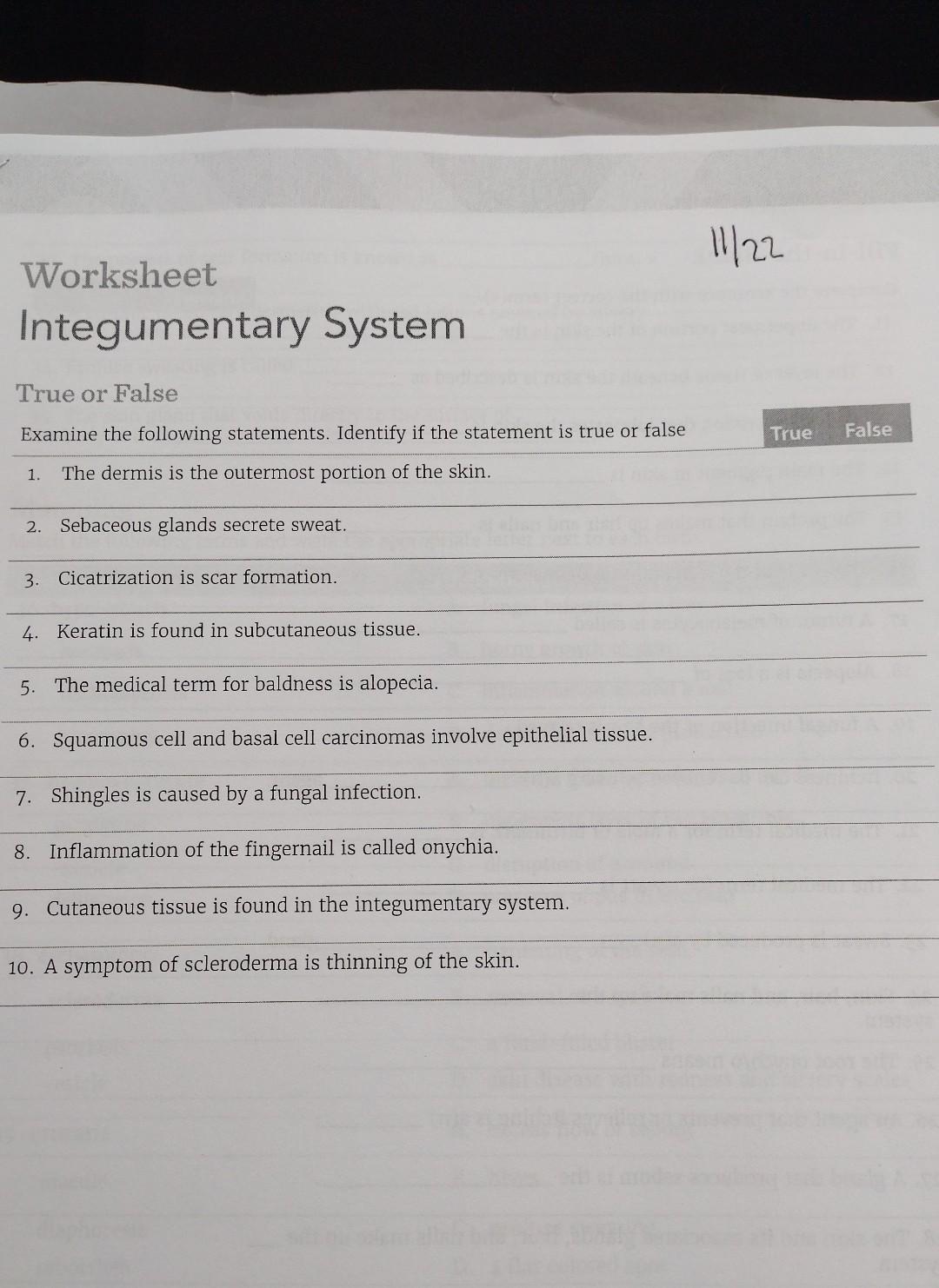 Solved 11/22 Worksheet Integumentary System True or False | Chegg.com