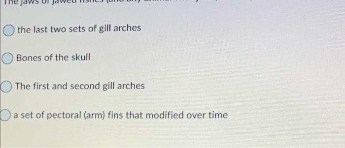 Solved Jaws the last two sets of gill arches Bones of the | Chegg.com