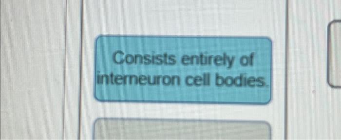 Solved Consists entirely of interneuron cell bodies. | Chegg.com