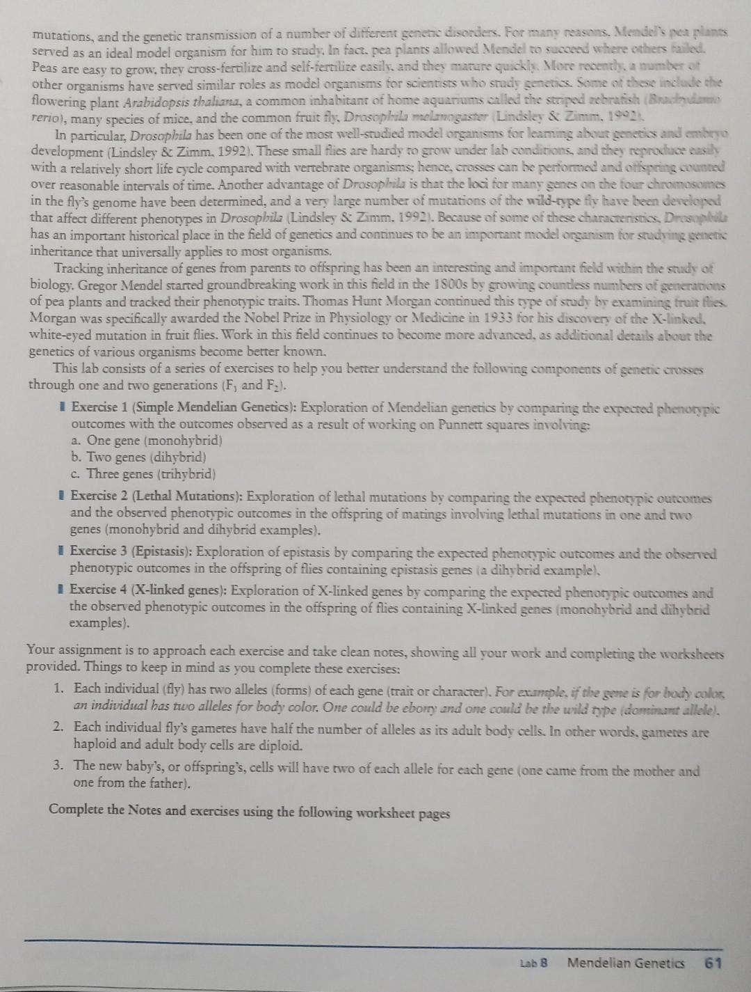 Solved Overview In this lab exercise, you will learn to | Chegg.com