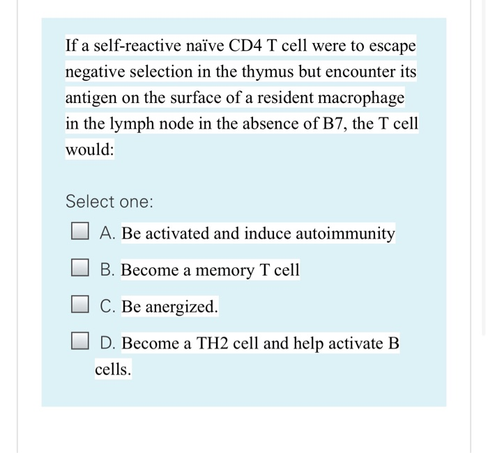 Solved If a self-reactive naïve CD4 T cell were to escape | Chegg.com