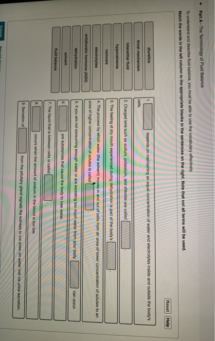 Solved Part A - The Terminology of Fluid Balance To | Chegg.com