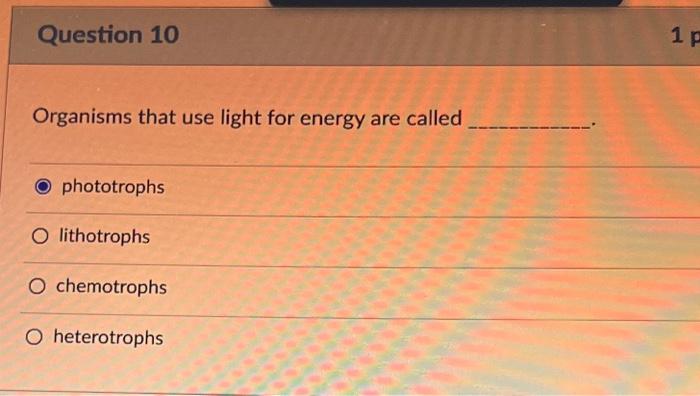 Solved Organisms that use light for energy are called | Chegg.com