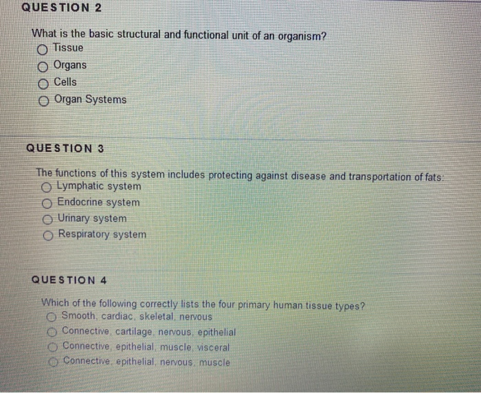Solved QUESTION 2 What Is The Basic Structural And Chegg