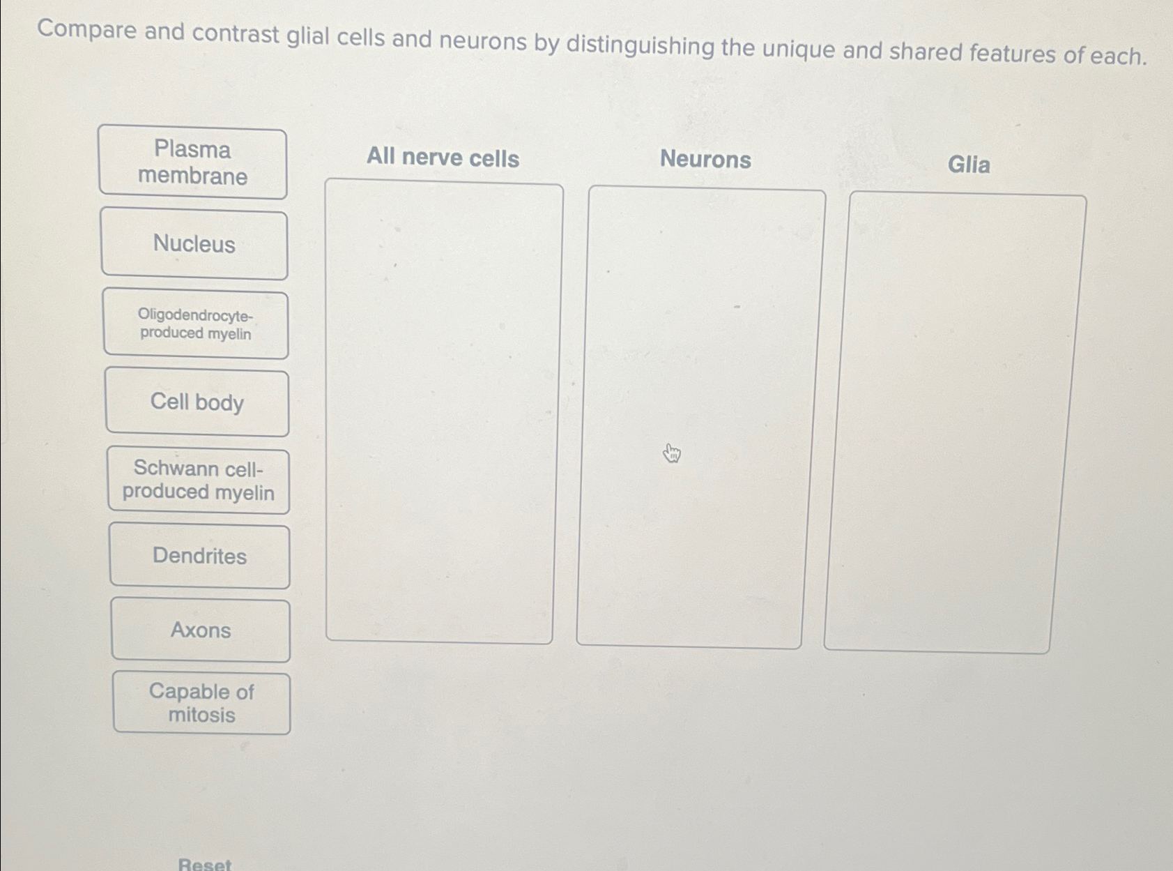 Solved Compare and contrast glial cells and neurons by | Chegg.com