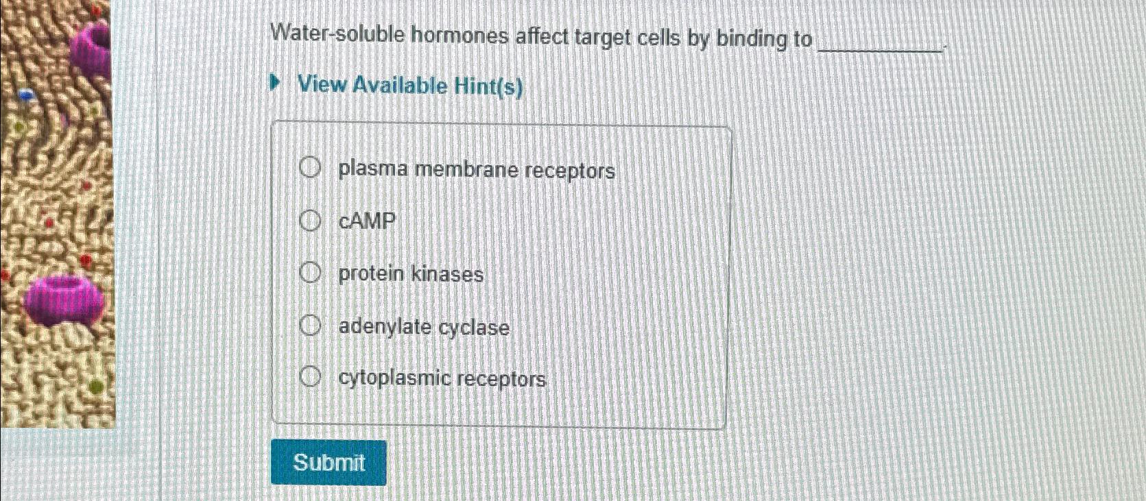Solved Water-soluble hormones affect target cells by binding | Chegg.com
