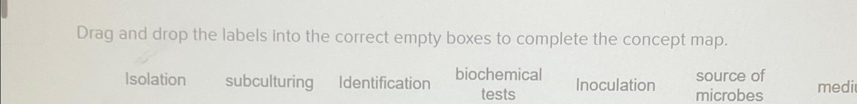 Solved Drag and drop the labels into the correct empty boxes | Chegg.com