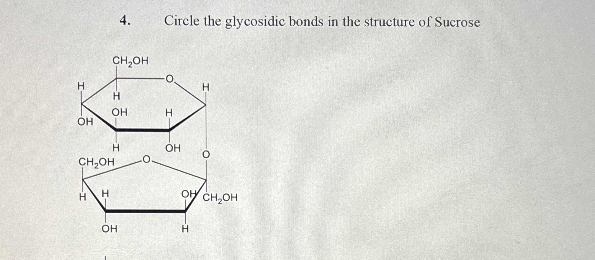 Solved Circle the glycosidic bonds in the structure of | Chegg.com