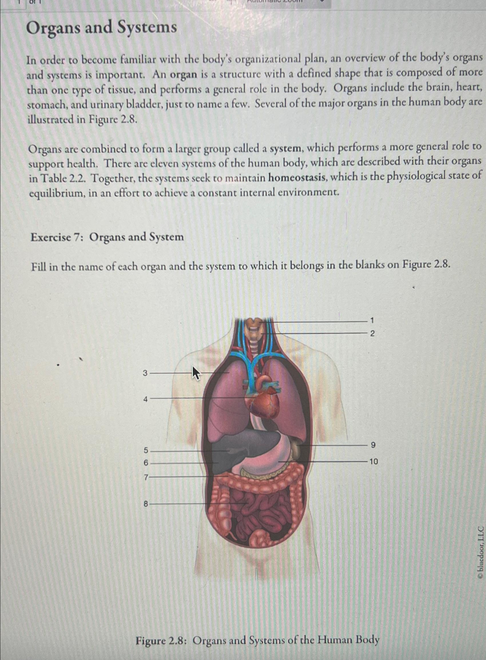 Solved Organs and Systems\\nIn order to become familiar with | Chegg.com