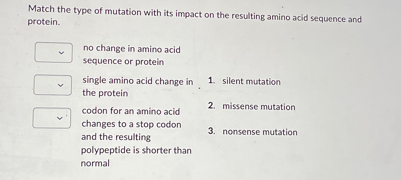 Solved Match the type of mutation with its impact on the | Chegg.com