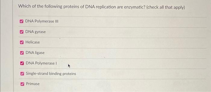 Solved What is the function of single-strand binding | Chegg.com