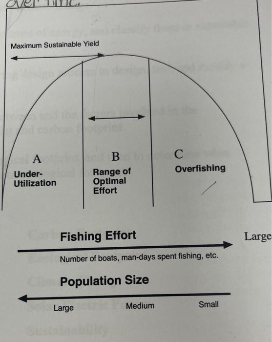 Solved based on this picture which part of the MSY graph | Chegg.com