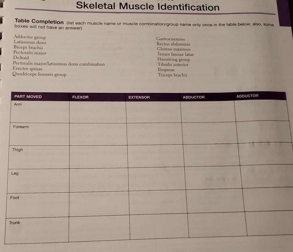 Solved Skeletal Muscle Identification Adductor group Table | Chegg.com