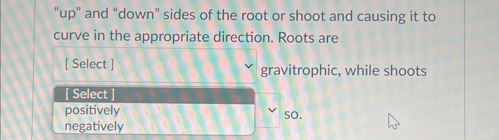 Solved "up" ﻿and "down" sides of the root or shoot and | Chegg.com