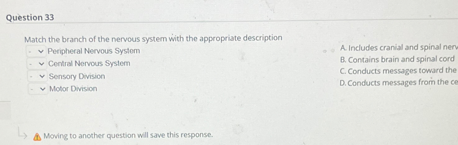 Solved Question 33Match the branch of the nervous system | Chegg.com