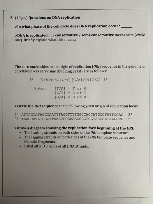 Solved DNA Structure Exercise: 1. (5 pts) Draw and label a | Chegg.com