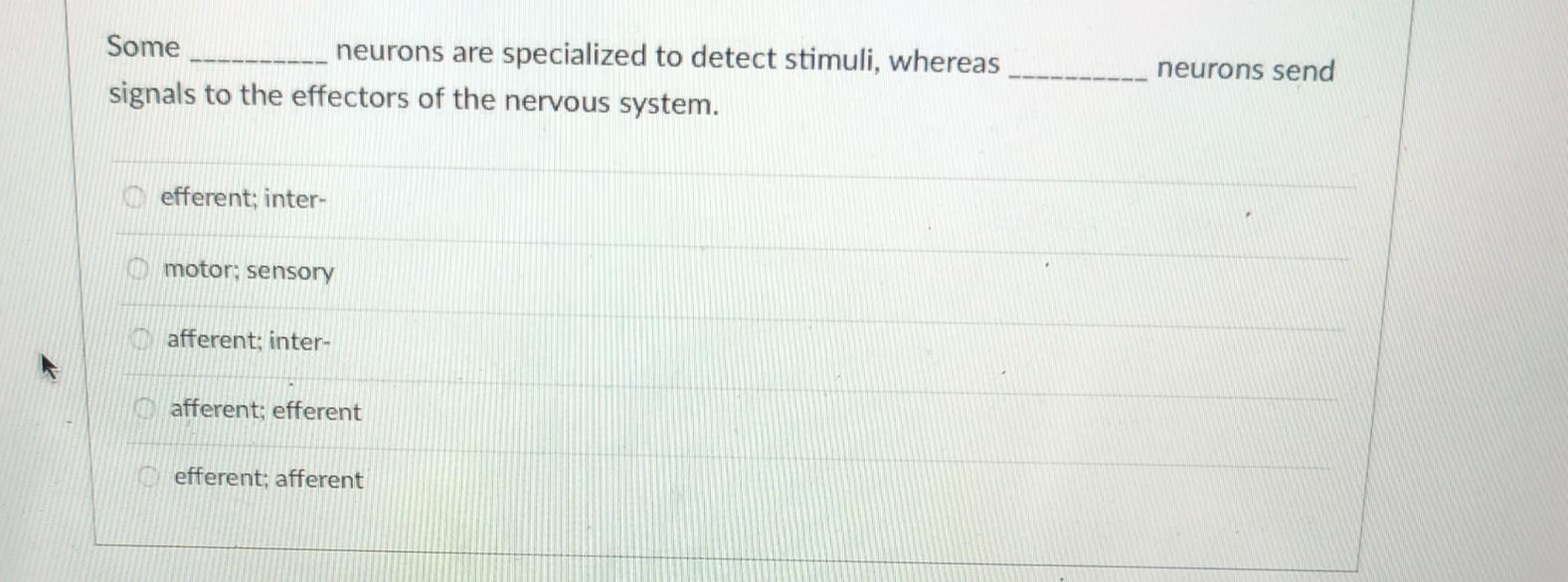 Solved Some neurons are specialized to detect stimuli, | Chegg.com