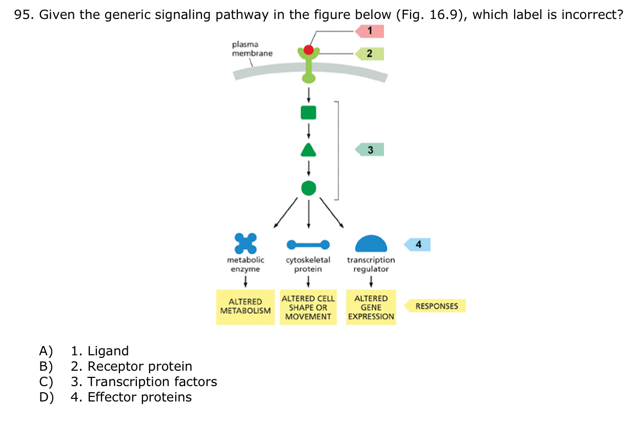 Solved Given the generic signaling pathway in the figure | Chegg.com