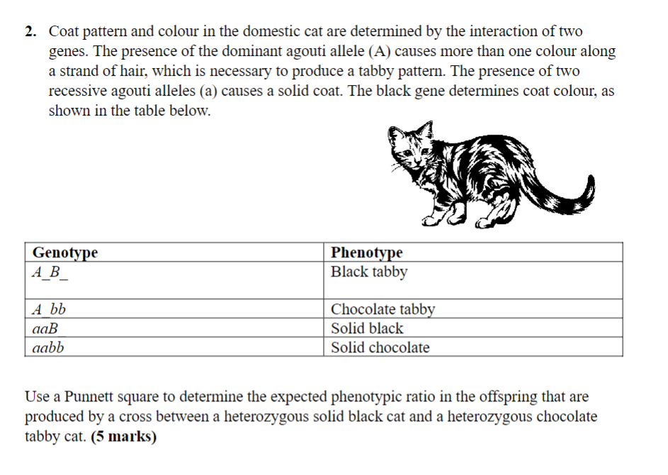 Solved Coat pattern and colour in the domestic cat are | Chegg.com