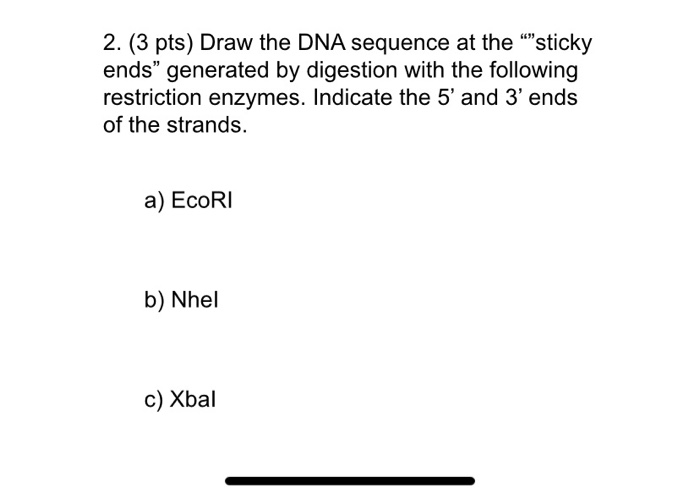 Solved 2. (3 pts) Draw the DNA sequence at the "sticky ends" | Chegg.com