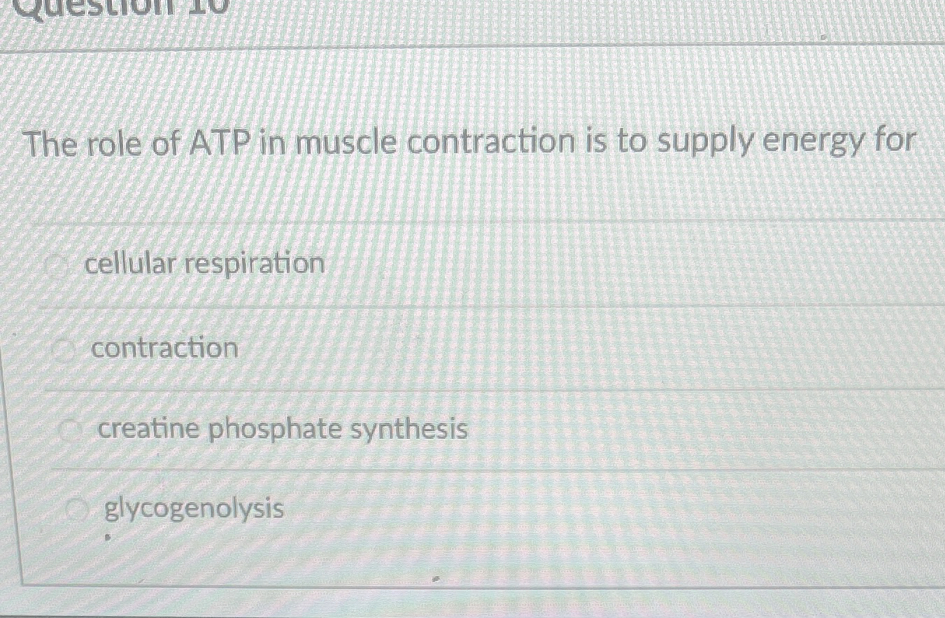 Solved The role of ATP in muscle contraction is to supply | Chegg.com